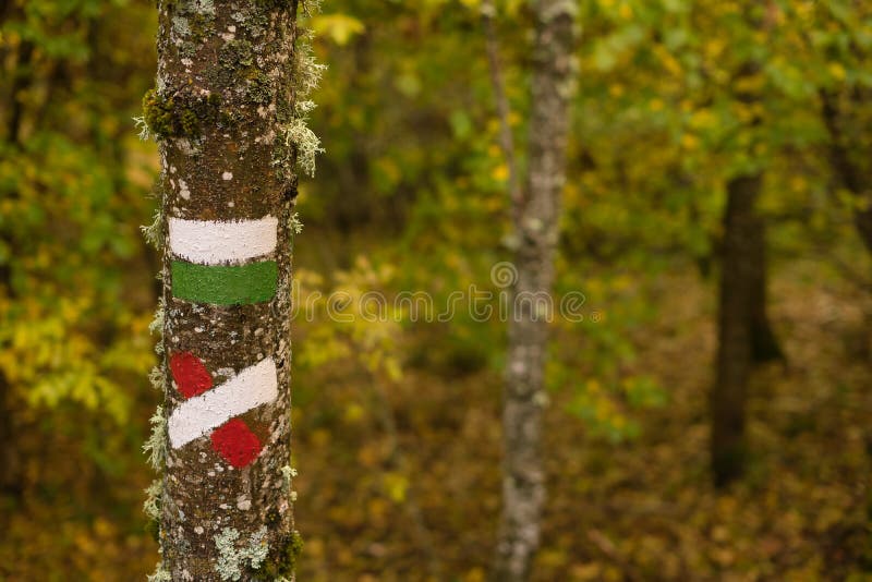 Local Path and Long Distance Path Stock Photo - Image of pathway ...