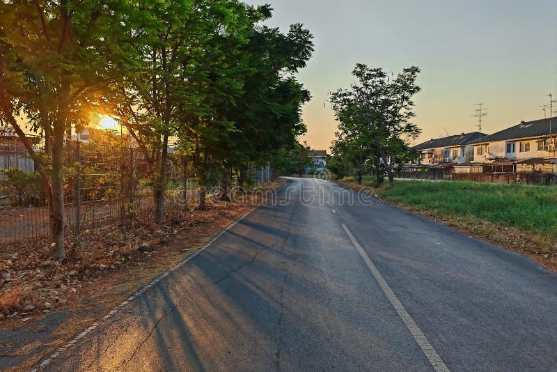 Local Road at Sunset with Light through Big Tree in Village Stock Image ...