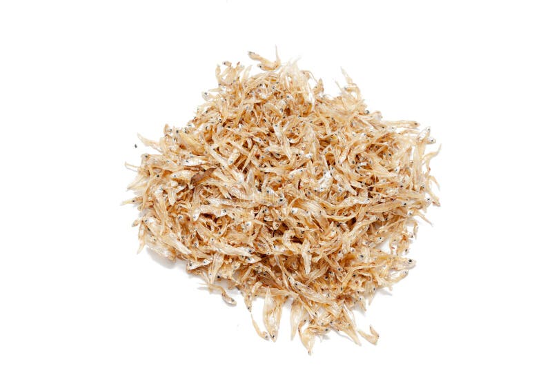 Local Small Fish in Southern of Thailand Stock Image - Image of fish ...