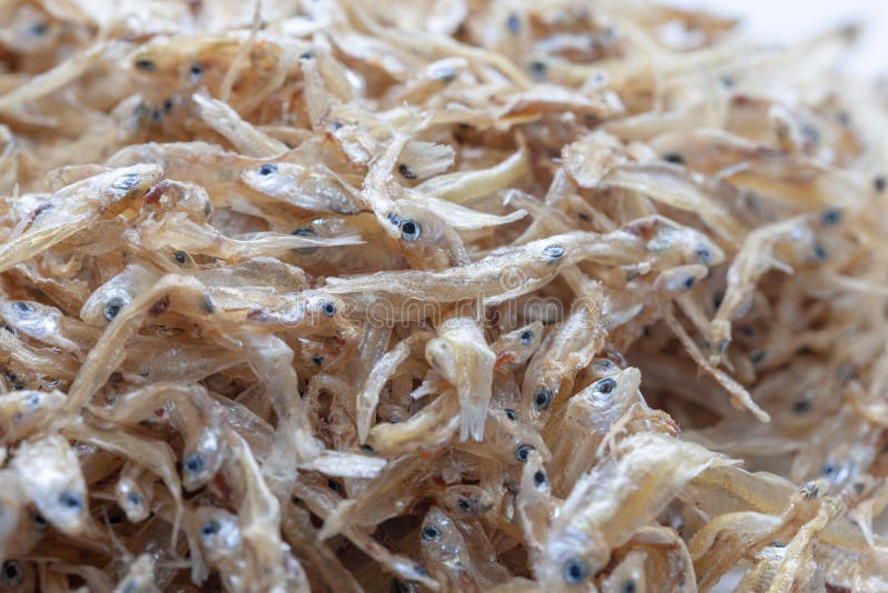 Local Small Fish in Southern of Thailand Stock Image - Image of delta ...