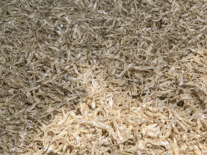 Local Small Fish in Local Southern Stock Image - Image of food, natural ...