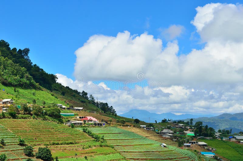 Local View at Mon Jam Chiang Mai Stock Image - Image of travel, chiang ...