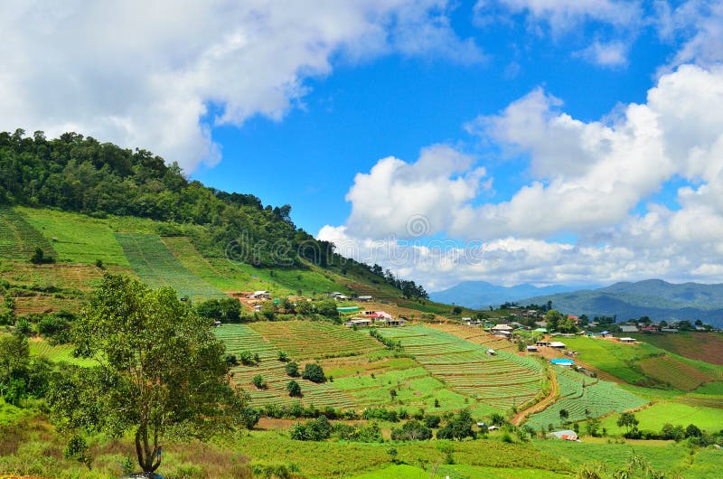 Local View at Mon Jam Chiang Mai Stock Photo - Image of field, local ...