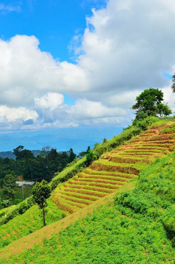Local View at Mon Jam Chiang Mai Stock Photo - Image of asia ...