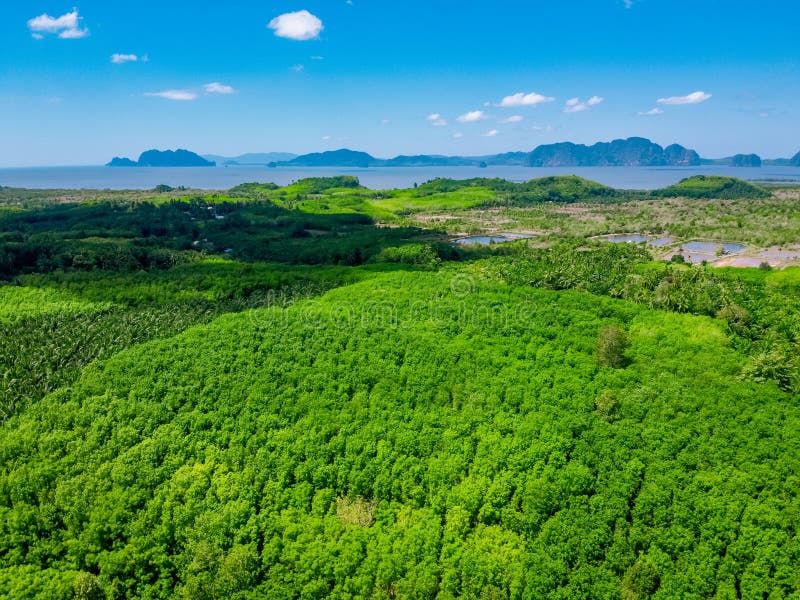 The Local Village in the in Early Morning with Sunrise Stock Image ...