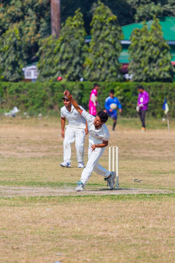Locals Play Cricket in the Park Editorial Stock Photo - Image of ...