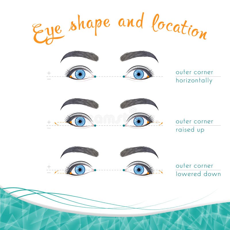 Lowered Eyelashes Stock Illustrations – 3 Lowered Eyelashes Stock ...