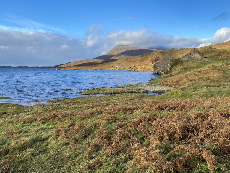 Loch Assynt - Scotland stock photo. Image of travel - 237982988