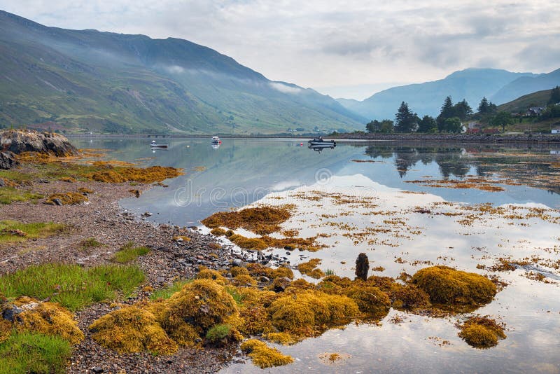 Loch Duich stock image. Image of rugged, kingdom, country - 77564491