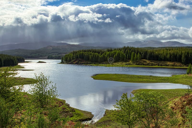 Loch Laggan stock photo. Image of pine, highlands, trees - 92758380