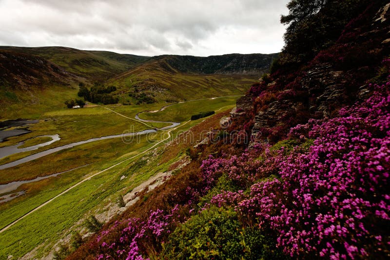 Loch Lee stock image. Image of landscape, loch, highlands - 27282997