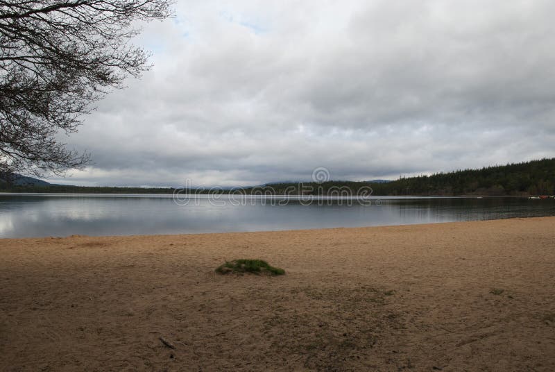 Loch Morlich stock photo. Image of clouds, trees, cairngorms - 119320854