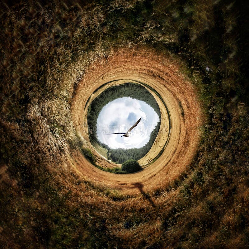 Loch in der Erde auf Wiese stockfoto. Bild von boden - 54251970