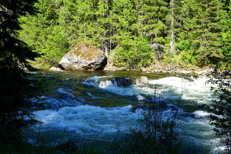 Lochsa River - Idaho stock photo. Image of trees, forest - 72470760