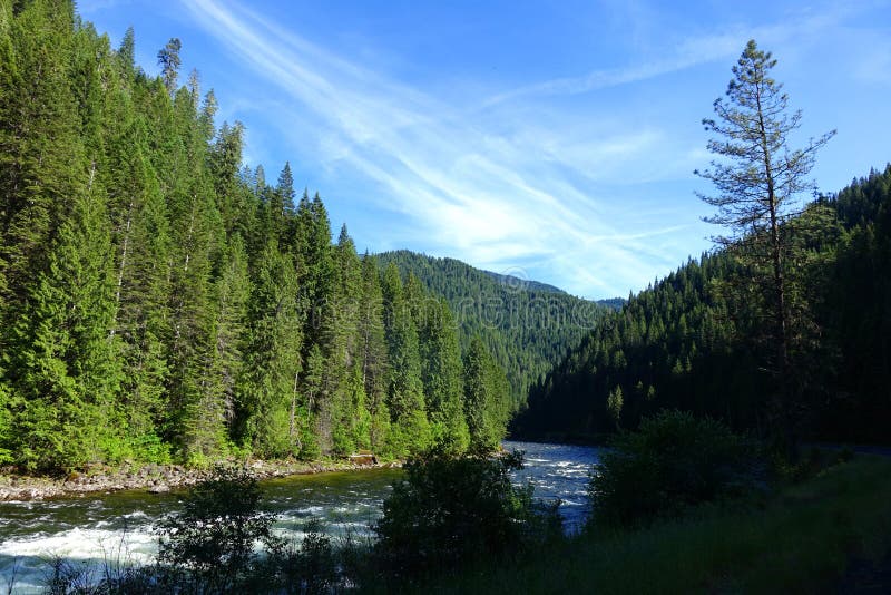 Lochsa River - Idaho stock photo. Image of trees, forest - 72470760