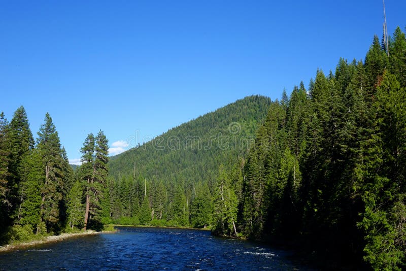 Lochsa River - Idaho stock photo. Image of trees, forest - 72470760