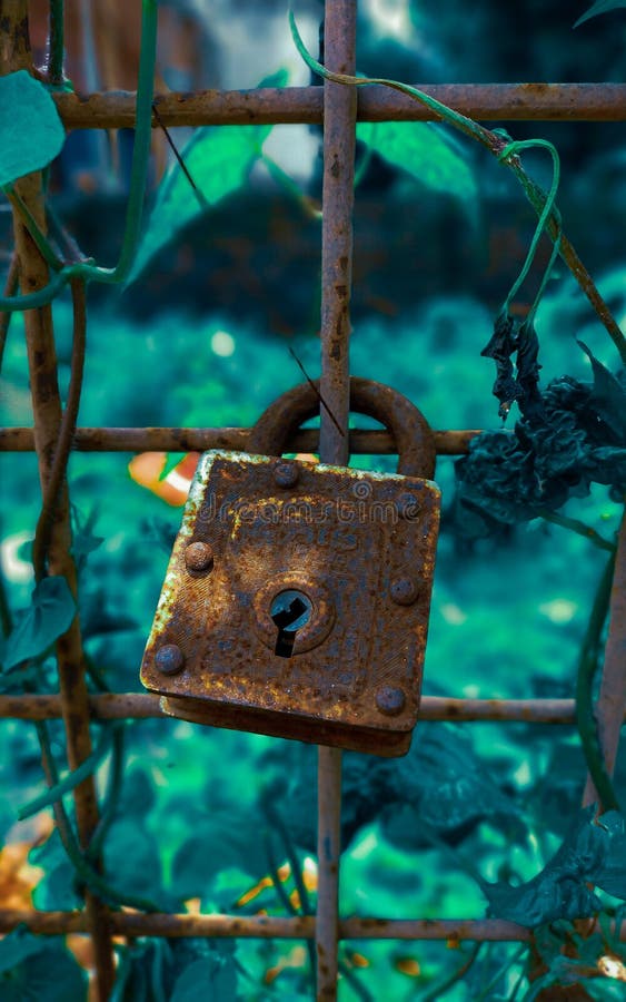 A Lock is Attached To an Old Gate. Behind the Gate is the Forest.st ...