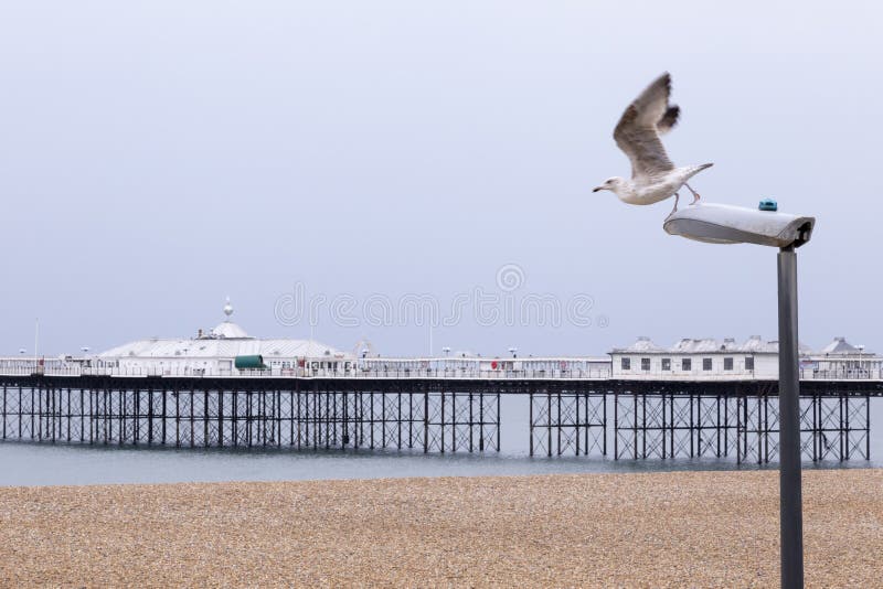 The lock down in Brighton stock image. Image of pier - 179882509