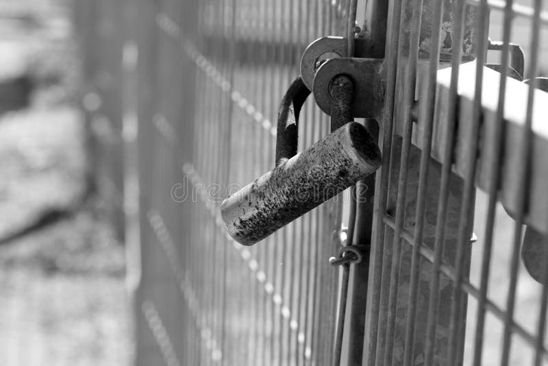 A Lock on a Metal Gate in the Fence Stock Image - Image of gates, safe ...