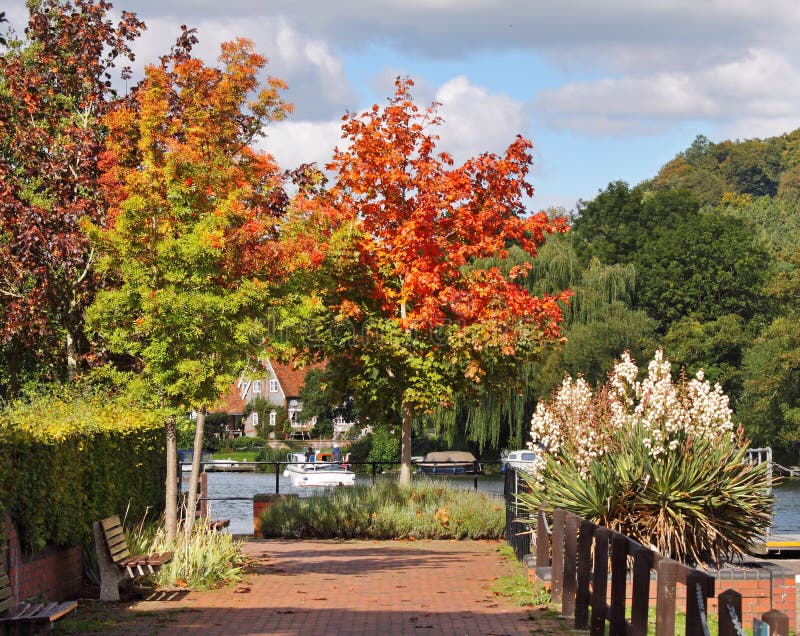 Early Autumn by the River Thames in England Stock Image - Image of ...
