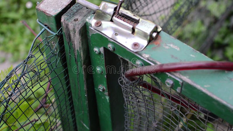 Wooden Door Opening To Green Screen Stock Image - Image of house ...