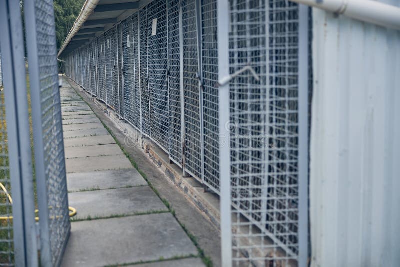 Locked Cages for Storage with Grassy Sidewalk Stock Photo - Image of ...