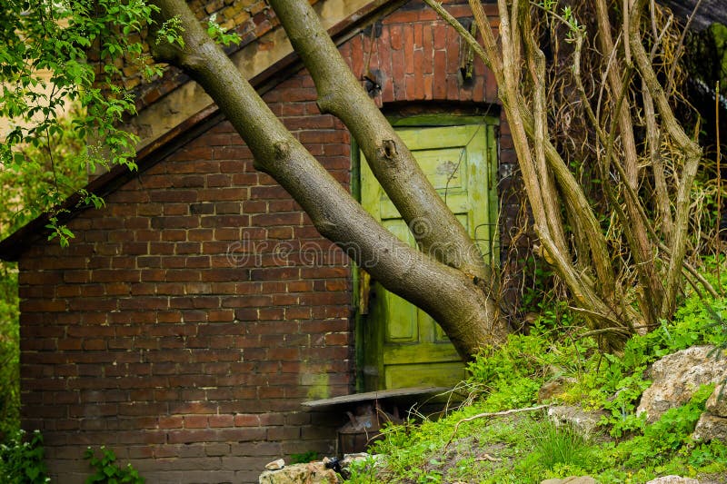 Locked door by tree stock photo. Image of entry, gateway - 64927076