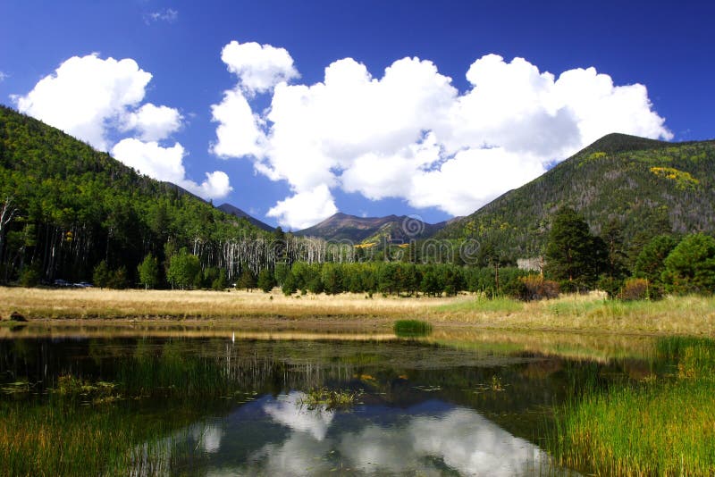 Lockett meadow stock photo. Image of pond, mountain, overview - 6698868