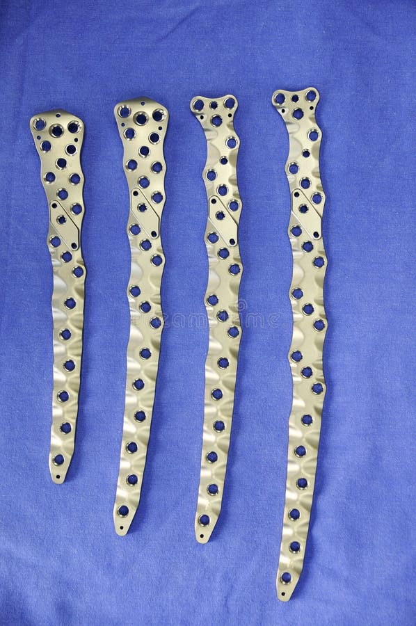 186 Human Body Skeleton System Xray Stock Photos - Free & Royalty-Free ...