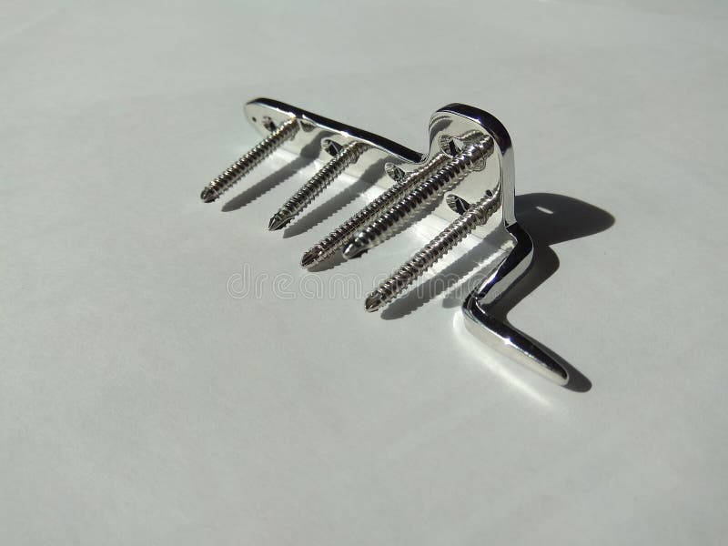 Locking Hook Plate with Screws for Operation in Traumatology in Case of ...