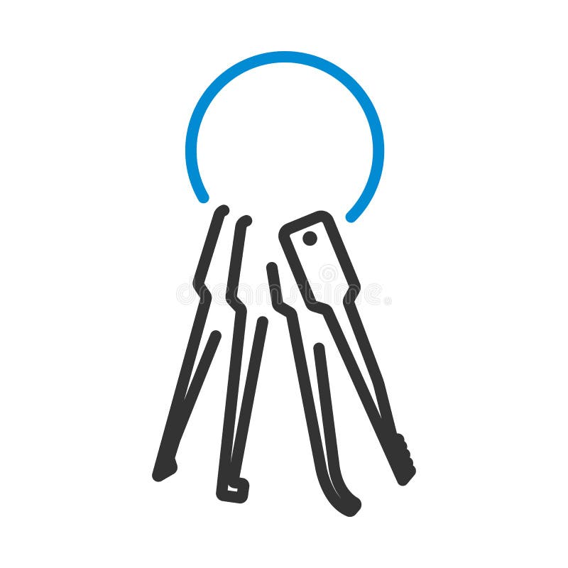 Lockpick Icon stock vector. Illustration of hacking - 245561202