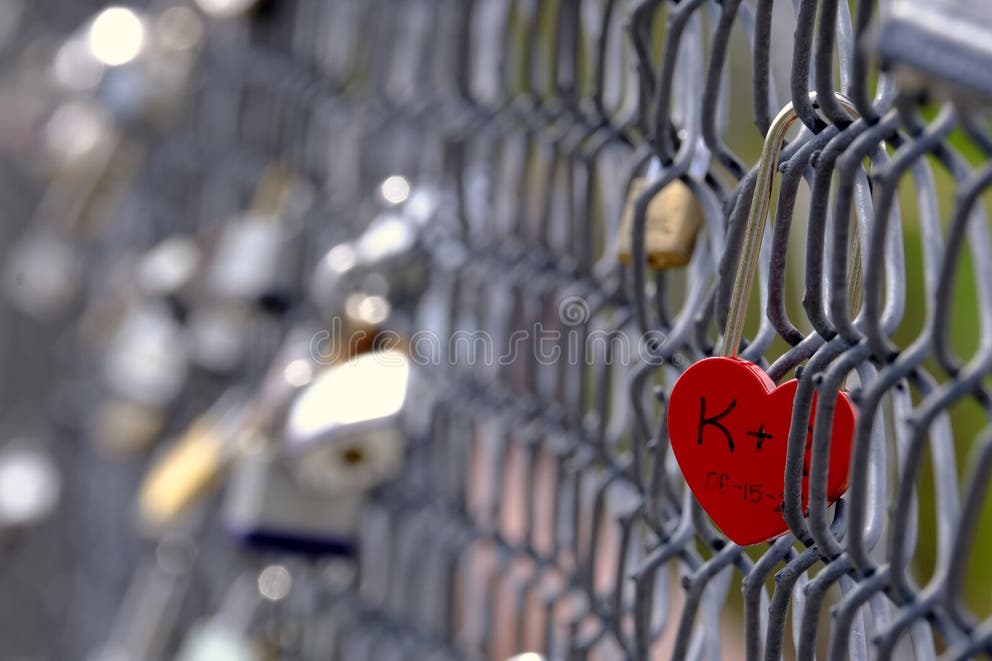 Locks on Chain Link Fence Representing Love and Commitment for Couple ...