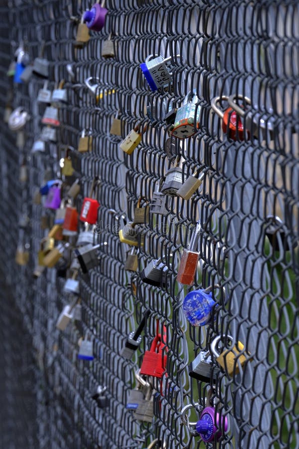 Locks on Chain Link Fence Representing Love and Commitment for Couple ...