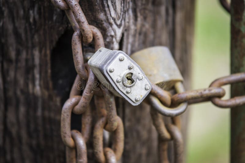 Locks on an Old Rusty Chain Stock Photo - Image of restrain ...