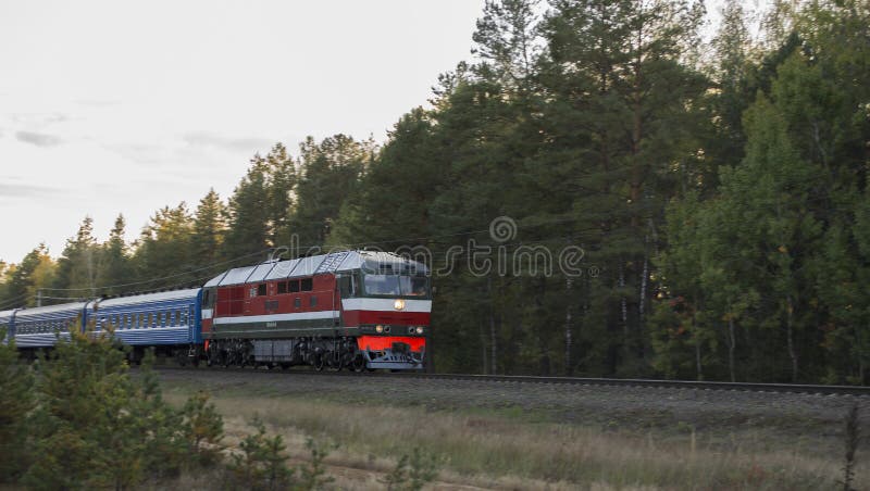 Locomotive editorial photo. Image of rail, sunset, forest - 80087636