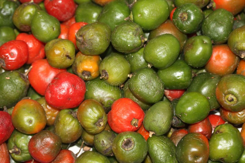 Locoto peppers stock image. Image of peppers, mexican - 12154517