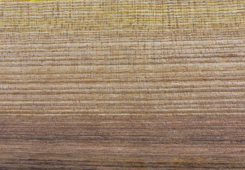 Locust tree wood texture stock image. Image of line, forest - 72738335