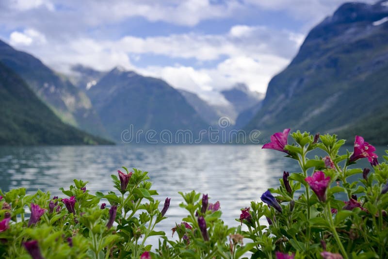 Lodal Valley stock image. Image of green, reflection - 13470305