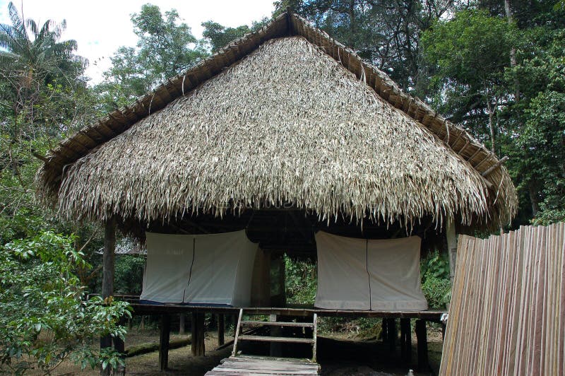Lodge house, Amazon. stock image. Image of refuge, outside - 12181049
