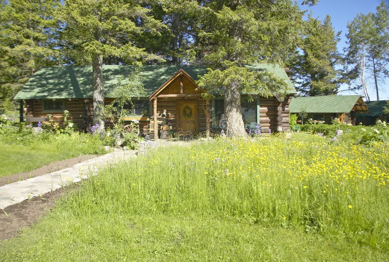 Summer landscape stock photo. Image of spring, forest - 8622804