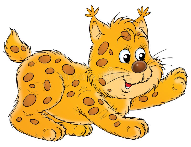 Lodjur Stock Illustrationer, Vektorer, & Clipart – (1,244 Stock ...