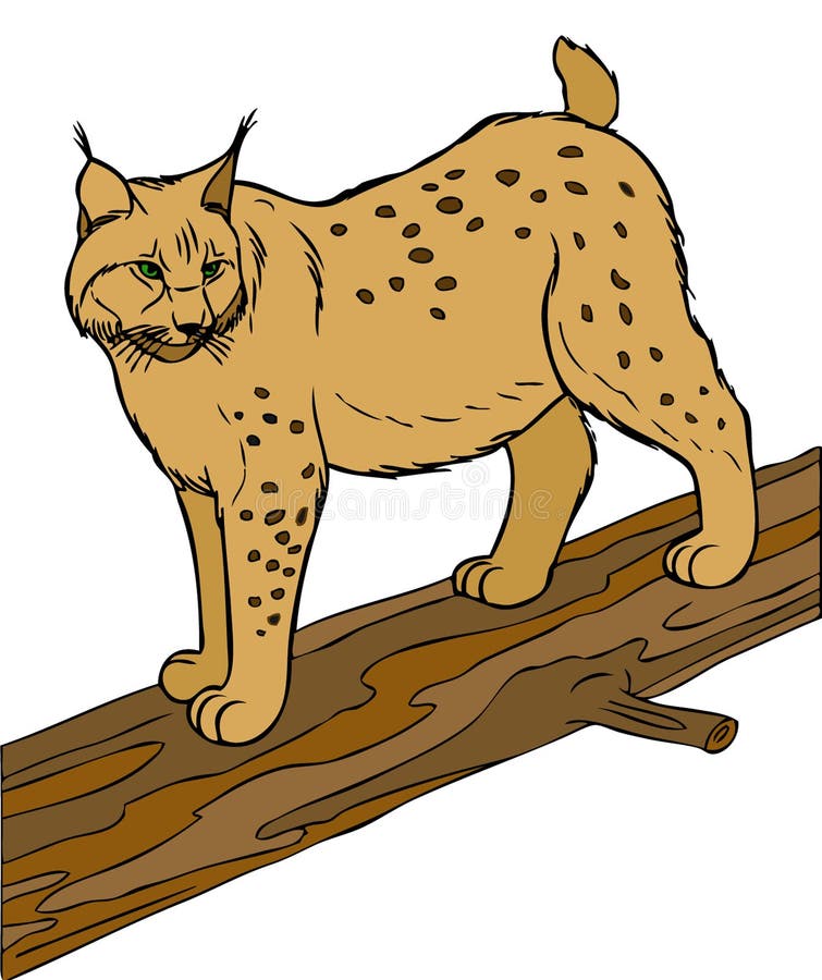 Lodjur Stock Illustrationer, Vektorer, & Clipart – (5,822 Stock ...