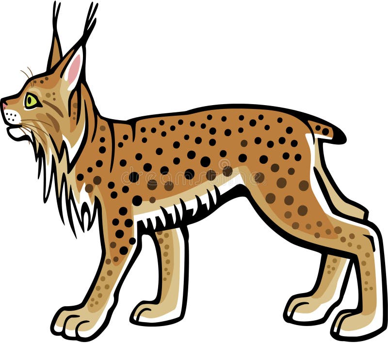 Lodjur vektor illustrationer. Illustration av linje, plattform - 67053861