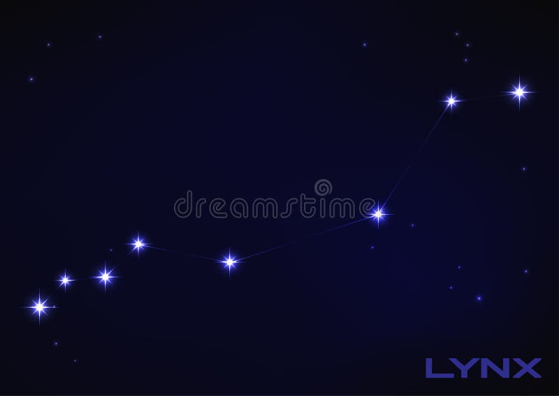 Lodjur Stock Illustrationer, Vektorer, & Clipart – (6,998 Stock ...