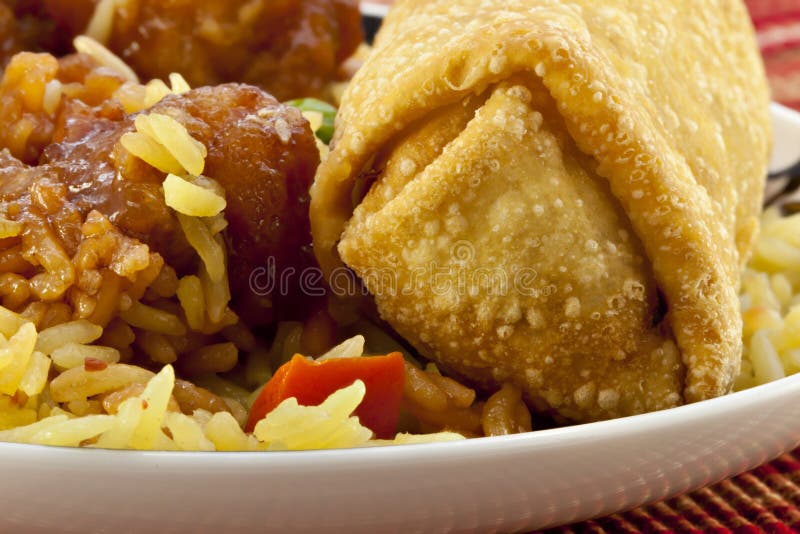 Loempia met sesamkip stock afbeelding. Image of diep, broodje - 9552537