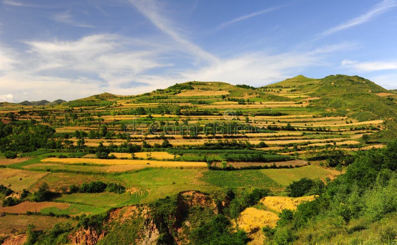 Loess plateau stock photo. Image of agriculture, trees - 25623092