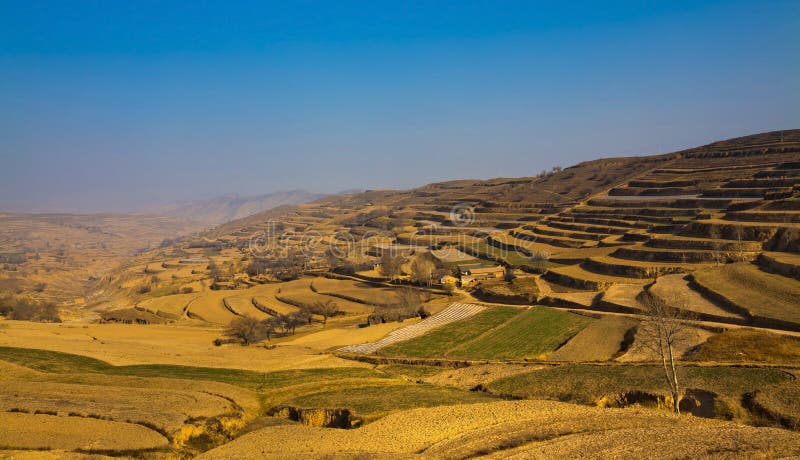 Loess plateau stock photo. Image of agriculture, trees - 25623092