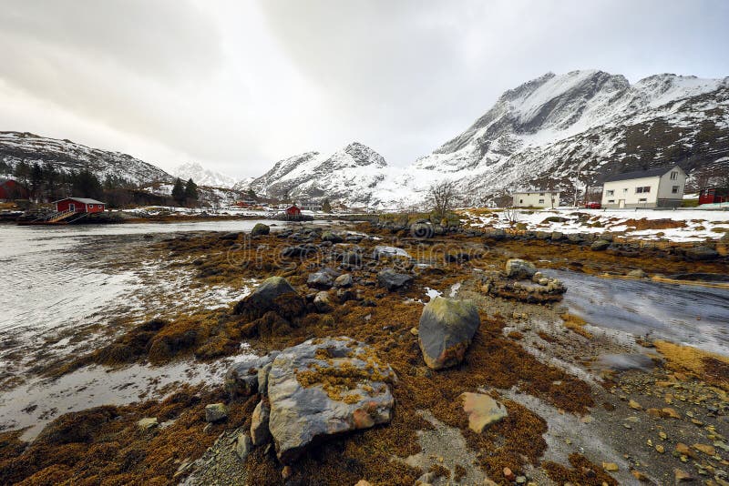 Lofoten Islands. Beautiful Norway Spring Landscape. Stock Image - Image ...