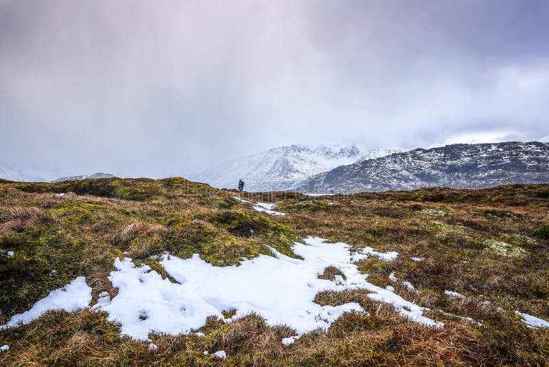 Lofoten Islands. Beautiful Norway Spring Landscape. Stock Image - Image ...