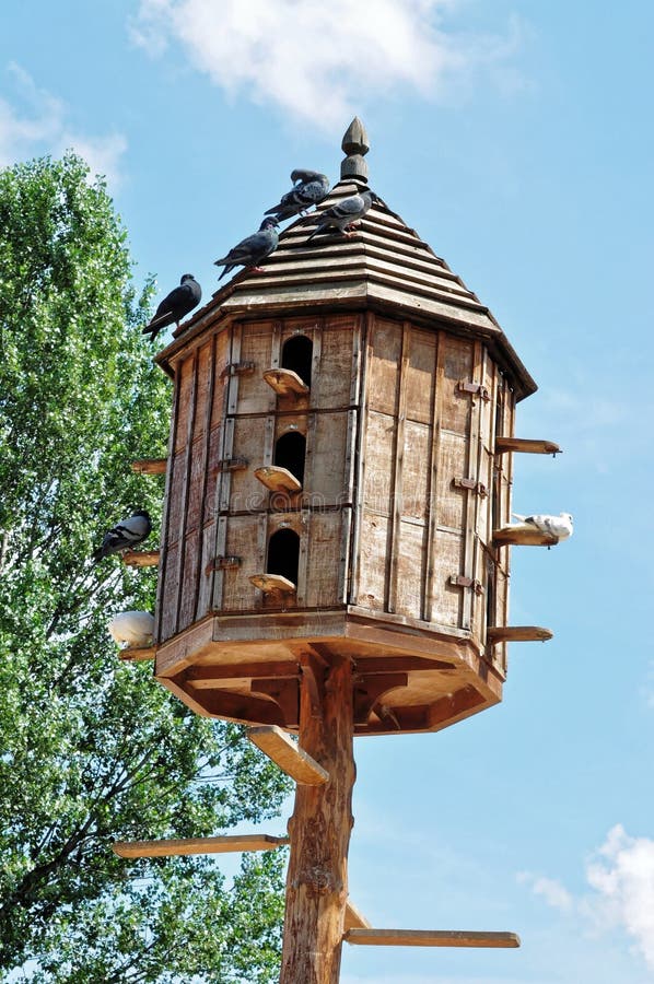 Loft Pigeons Ladder Stock Photos - Free & Royalty-Free Stock Photos ...